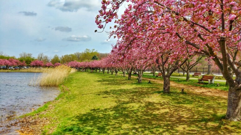 Spring inspirations: nature and tradition - Poland Travel (EN)
