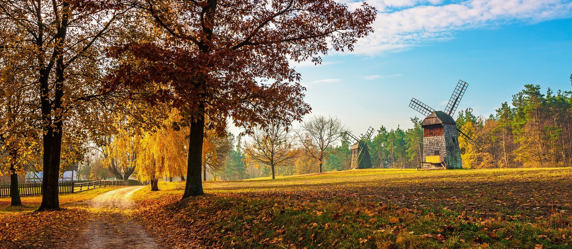 Fall's Embrace: Poland's Autumn Beauty - Poland Travel (EN)